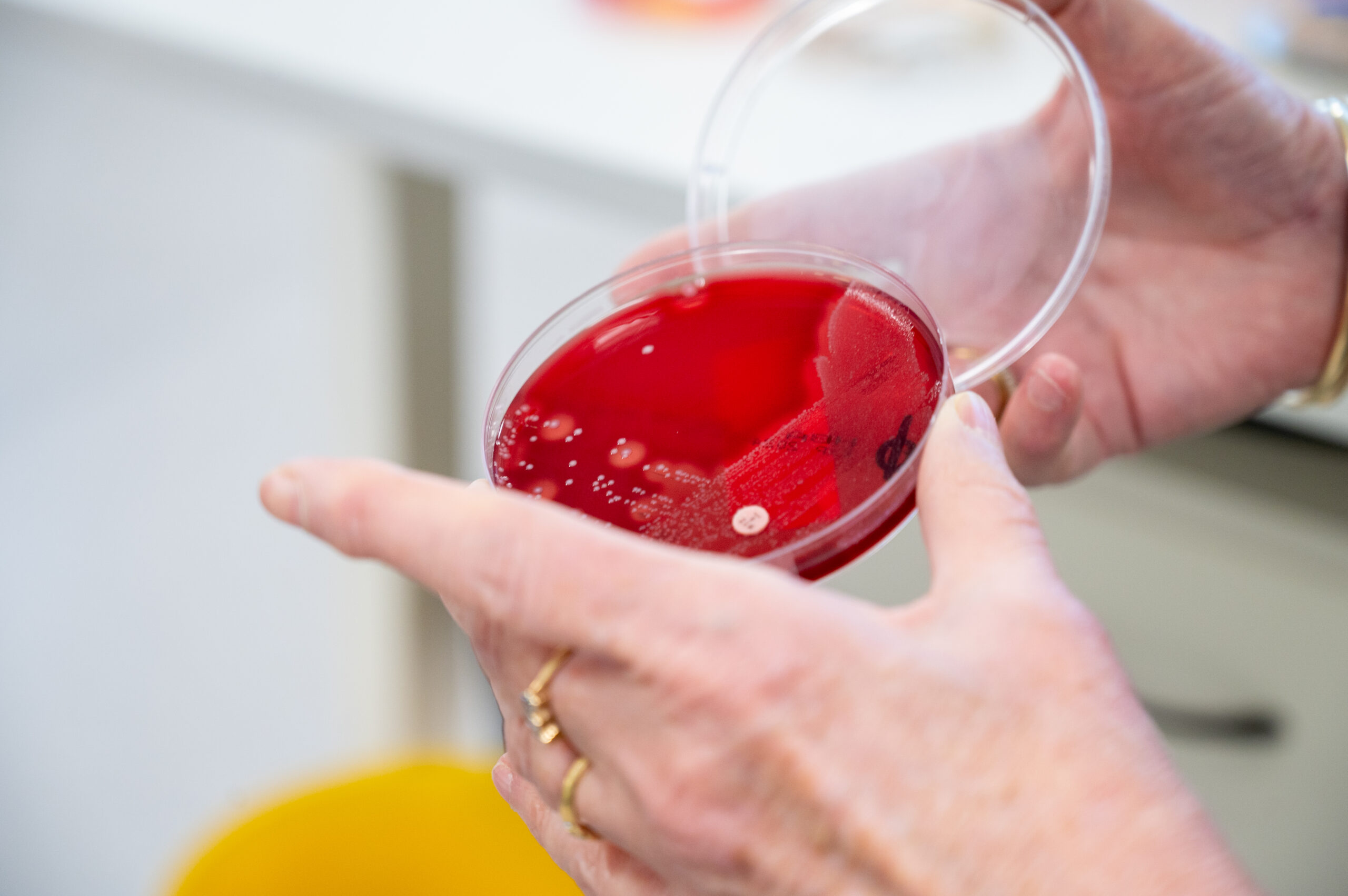 For Doctors | Eastern Health